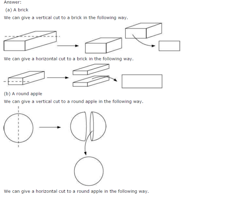NCERT Solutions Chapter 15 Visualising Solid Shapes - Edu Spot-CBSE NCERT Solutions and ...