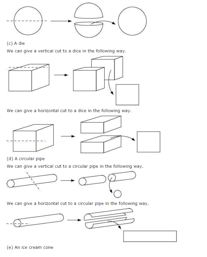 NCERT Solutions Chapter 15 Visualising Solid Shapes - Edu Spot-CBSE NCERT Solutions and ...